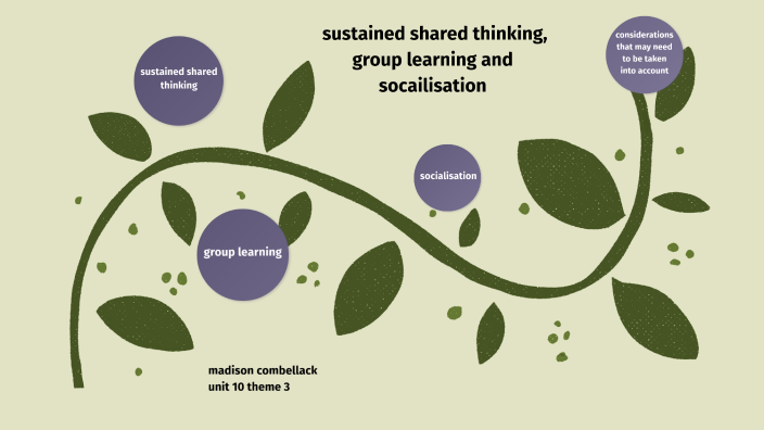 sustained shared thinking, group learning and socialisation by madison ...