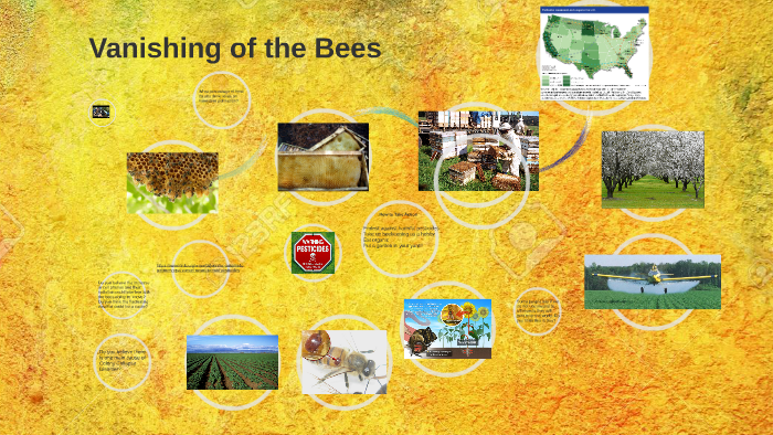 Vanishing of the Bees by on Prezi