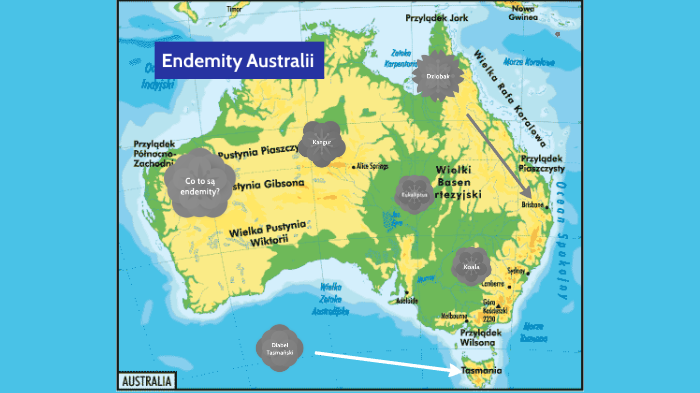 Endemity Australii by Oskar Grajnert on Prezi
