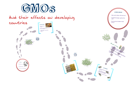 GMOs and developing countries by Celia Alter on Prezi