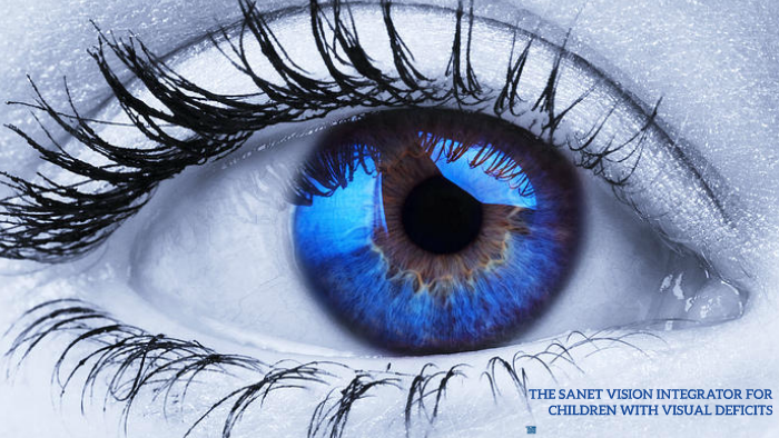 Sanet Vision Integrator by Hannah Carlson on Prezi