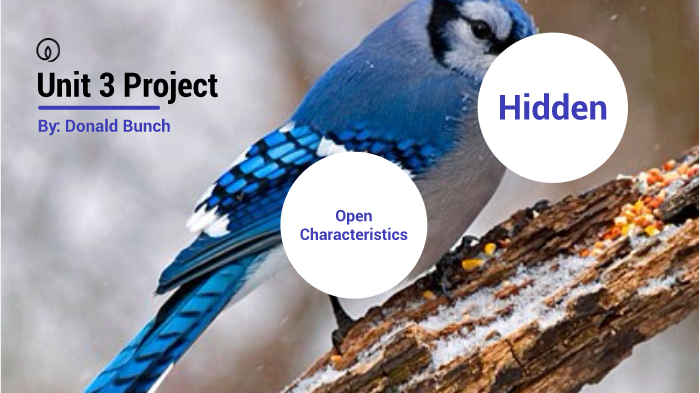 Open and Hidden things about me Donald by Donald Bunch on Prezi