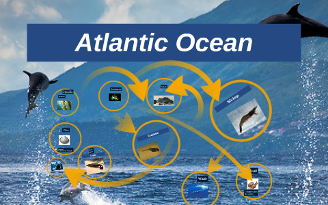 Atlantic Ocean by Andrew Johnson on Prezi
