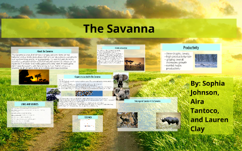 Biome Project: The Savanna by Aira Tantoco on Prezi