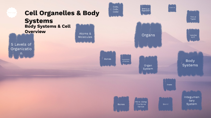Cell Organelles & Body Systems by Maegan Garza on Prezi