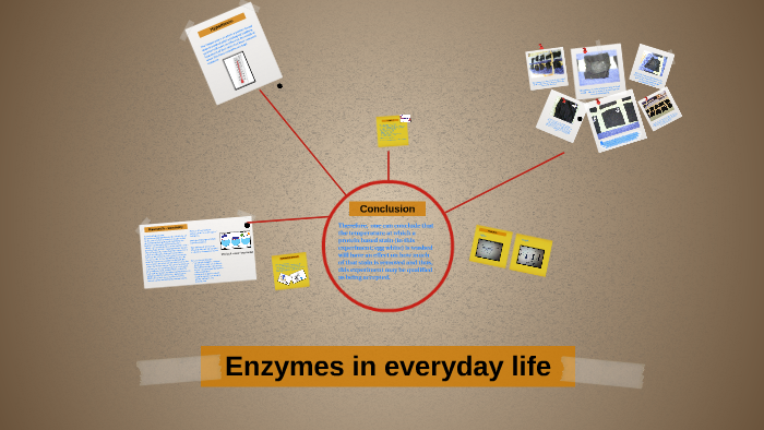 Enzymes in everyday life by Abbi Rogers on Prezi