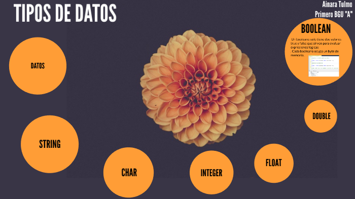 TIPOS DE DATOS by Ainara Tulmo on Prezi