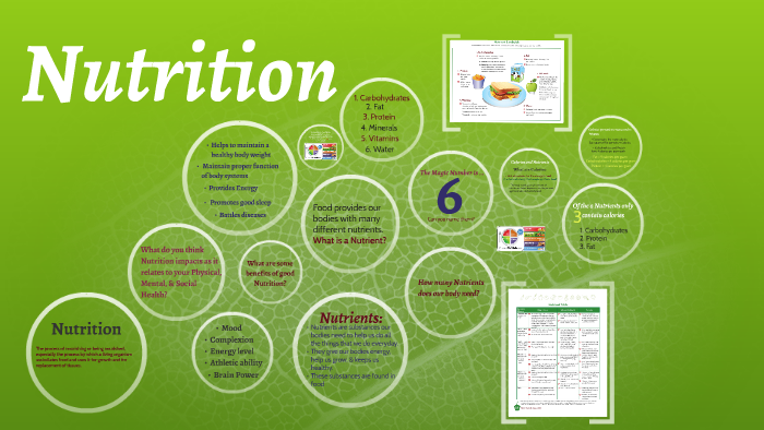 6th Grade Nutrition by Judy Collentine on Prezi