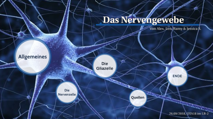 Nervengewebe by jessica skibbe on Prezi
