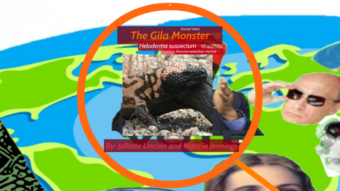 Gila Monster Phylogenetic Tree by Nat Jen on Prezi