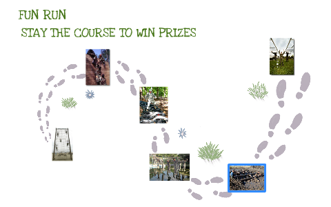 Fun Run prizes 2013 by Shannan Browning on Prezi