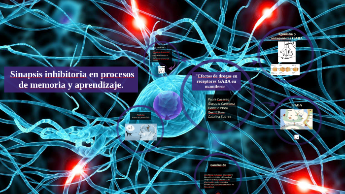 . Sinapsis inhibitoria en procesos de memoria y aprendizaje. by Paulo ...