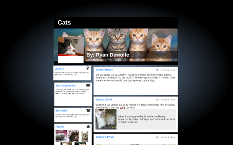 the life cycle of a cat by ryan dewolfe on Prezi