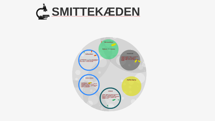 SMITTEKÆDEN by Anna Mørk on Prezi