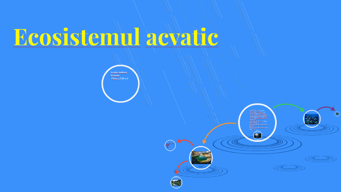 Ecosistemul acvatic by Andreea Andreea on Prezi