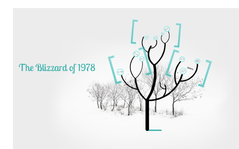 blizzard by jonathan anderson on Prezi