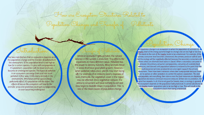 How are Ecosystem Structures Related to Population Changes a by Jasmine ...