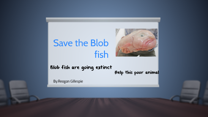 Save the Blob fish by Reagan Gillespie on Prezi