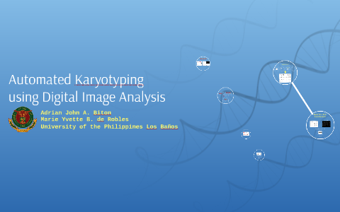 Automated Karyotyping using Digital Image Analysis by Marie Yvette de ...