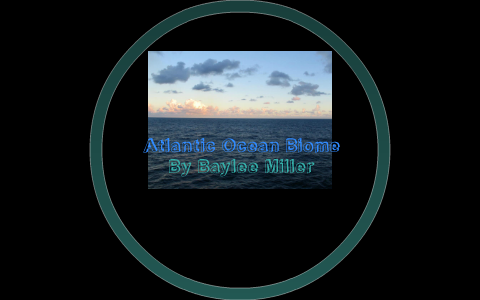 Atlantic Ocean Biome by Baylee Miller