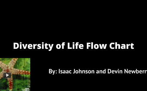 Diversity of life flow chart by Devin and Isaac Newberry and Johnson on ...