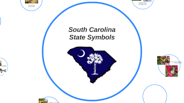 South Carolina State Symbols by Liz Clonts on Prezi
