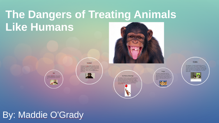 The Dangers of Treating Animals Like Humans by Maddie O'Grady on Prezi