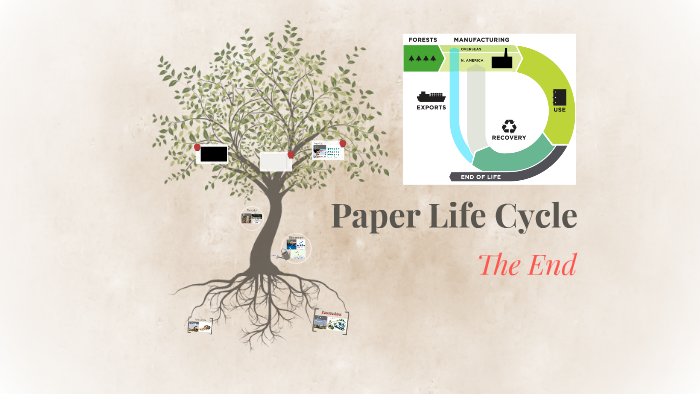 Paper Life Cycle by jota eff on Prezi