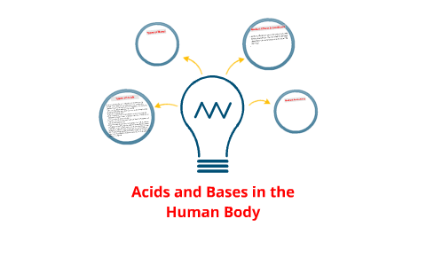 Medical Effects of Acids and Bases in the Human Body by Georgia Goodwin ...