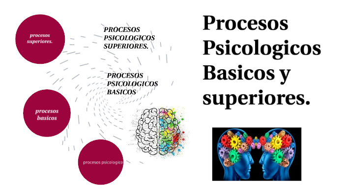 procesos psicologicos by laura de paz trejo on Prezi