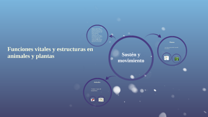 Funciones vitales y estructuras en animales y plantas by Daniella ...