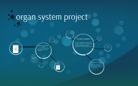 organ system project by Vernon Crafter on Prezi