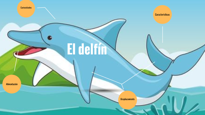 El Delfin by cony vasque on Prezi