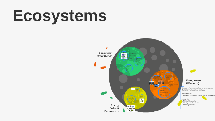 Ecosystems by Erin Craddock on Prezi