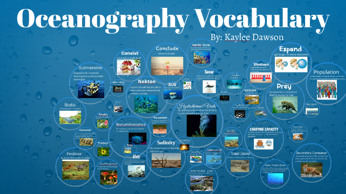 Oceanography Vocabulary by Kaylee Dawson on Prezi
