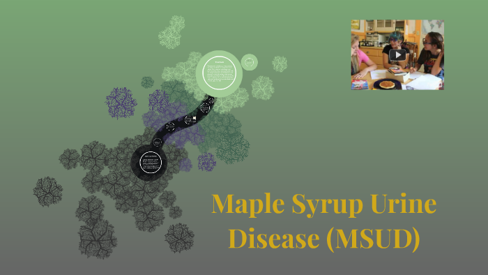 Maple Syrup Urine Disease (MSUD) by on Prezi