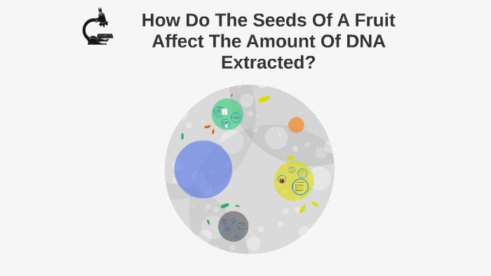 How Does the Type of Fruit Affect the Amount of DNA Extracte by Mr ...