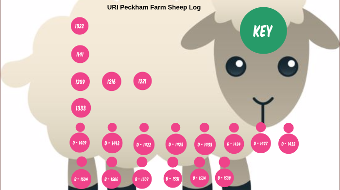 Sheep Log by Becky Provensal on Prezi