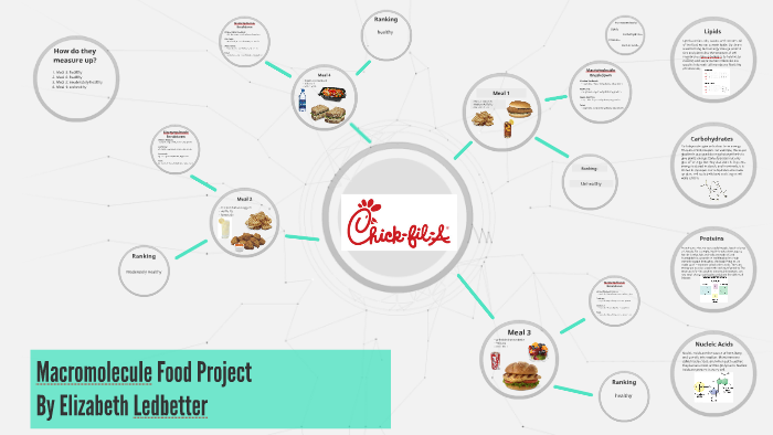 Macromolecule Food Project by School Projects on Prezi