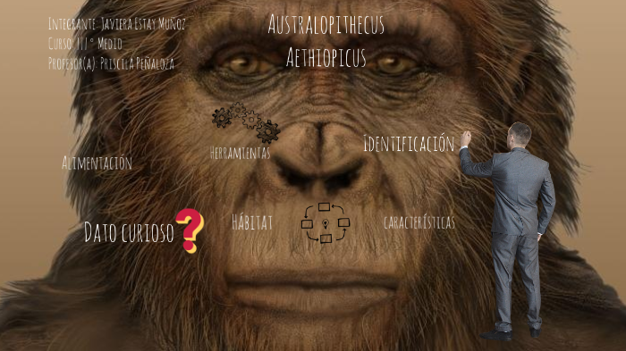 Australopithecus Aethiopitecus by javi polette on Prezi