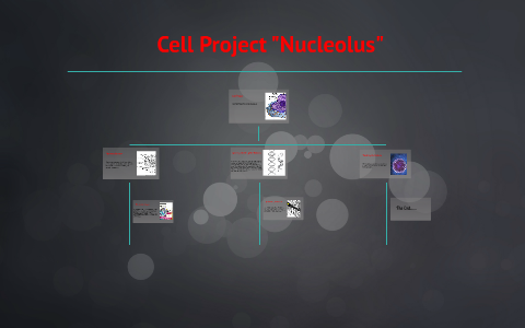 Cell Project by on Prezi