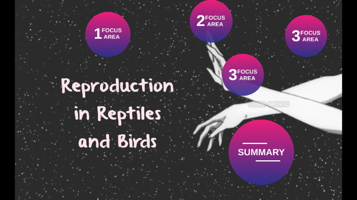 REPRODUCTION IN REPTILES AND BIRDS by Fate Sanchez on Prezi