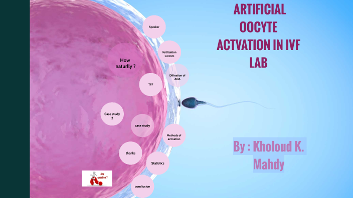 oocyte artificial activation by Kholoud Elwan on Prezi