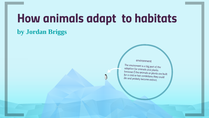 How animals adapt to habitats by jordan briggs on Prezi
