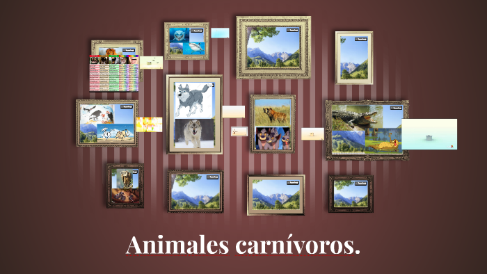 Animales carnívoros. by Jessiquita Pizano Aldana on Prezi