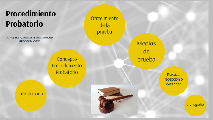 Procedimiento Probatorio by lorena Araceli Huerta Fernandez on Prezi