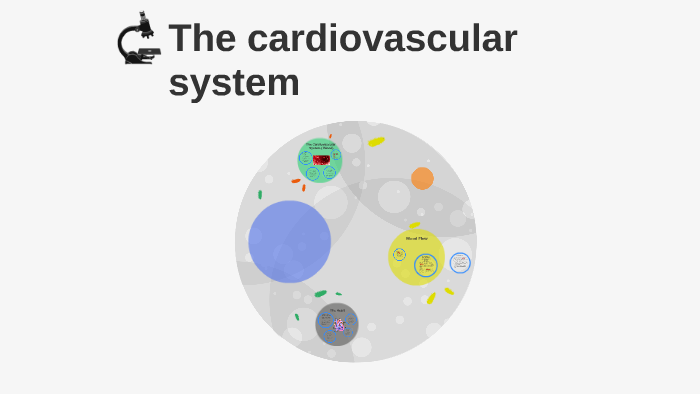 The Cardiovascular System by Mike Serritella on Prezi