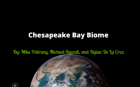 Chesapeake Bay Biome by Mike Pettruny on Prezi