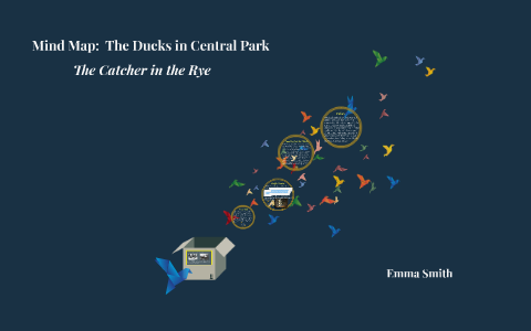 Mind Map: The Ducks in Central Park by Emma Smith