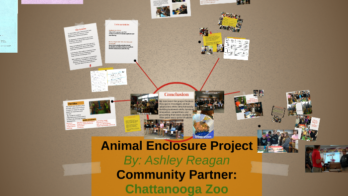 Animal Enclosure Project by Ashley Reagan on Prezi